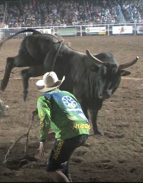 Bullfighter - Joe Butler | Oakley City Utah